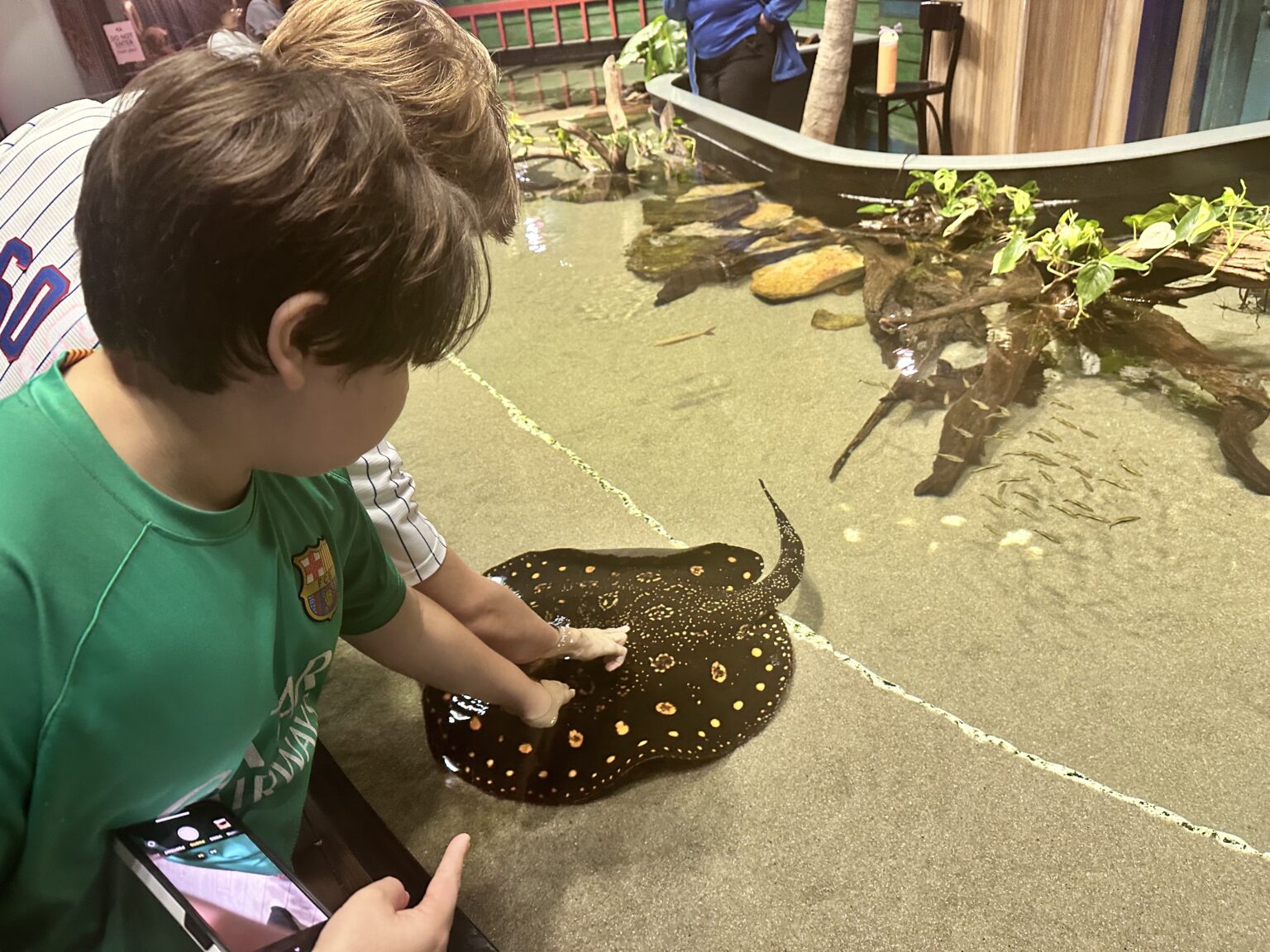 Dive into Science: 8th Grade Explores Waves, Heat, and Energy at the ...